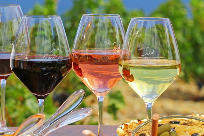 Provence Organic Wine Tasting Half Day Tour from Nice - Overview of the Tour