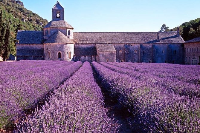Provence Sea & Countryside Full-Day Private Tour - The Itinerary: A Closer Look