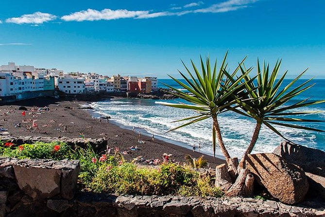 Puerto de la Cruz City Tour with Transfers - How the Tour Works: Transportation and Timing