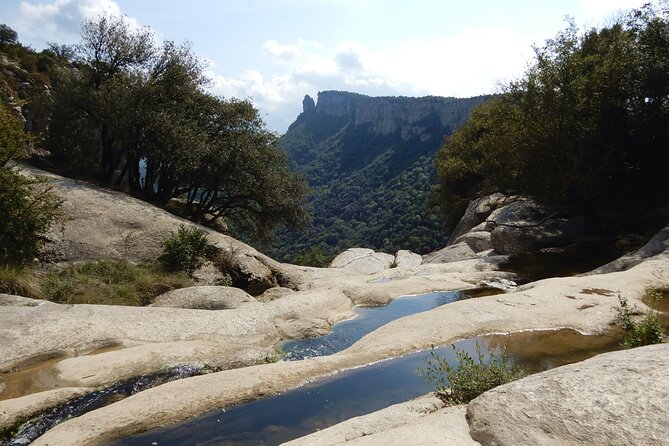 Pyrenees Medieval Village Hike from Barcelona - The Experience in Practice: What Travelers Say
