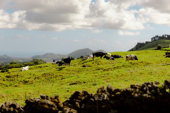 Quad Bike Tour - Lagoa de Fogo (Half Day) - Key Points