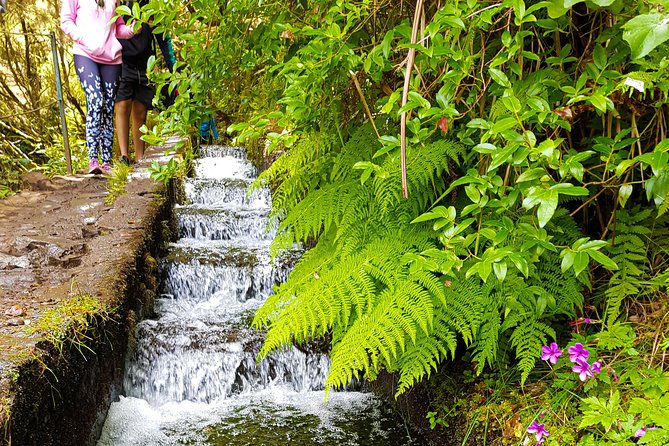 Rabaçal 25 Fontes Levada Walk in Small Groups - The Appeal of the Rabaçal 25 Fontes Levada Walk