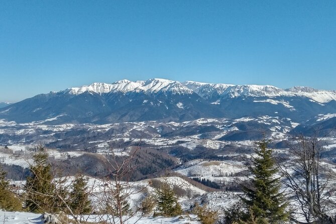 Rambling in Transylvania - In-Depth Look at the "Rambling in Transylvania" Experience