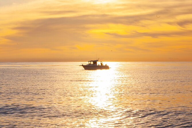 Reef Fishing Experience from Portimao - Key Points