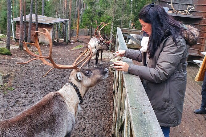 Reindeer Park Adventure - Exploring Nuuksio National Park
