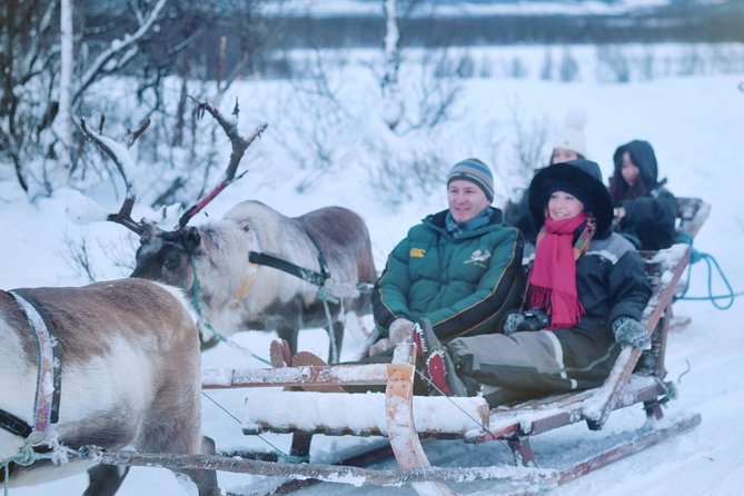 Reindeer Sledding and Feeding with Sami Culture in Tromso. - A Deep Dive into the Experience