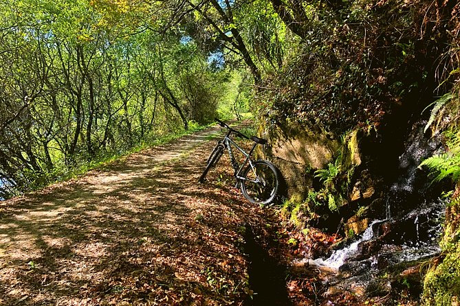 Rent Bikes / E-Bikes - Pickup, Delivery, and Locations
