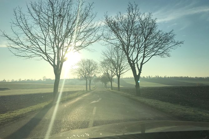Rental car with driver in Strasbourg - availability 7 hours - What Real Travelers Say