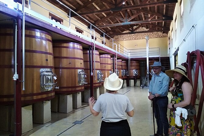Requena Half-Day Private Vineyards & Premium Wine Tastings Tour - What Makes This Tour Stand Out