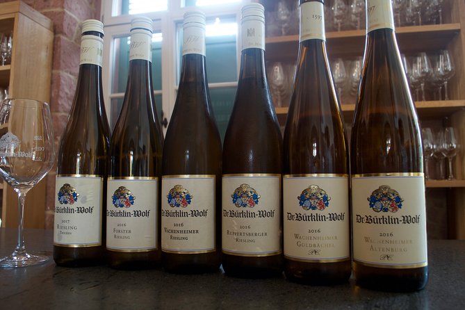 Rhine Valley Wine Tasting Tour from Frankfurt and Mainz - Delving into the Itinerary