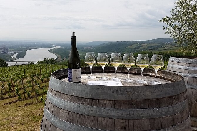 Rhône Valley Wine Tasting Private Day Tour from Lyon - Exploring the Rhône Valley: A Practical Guide