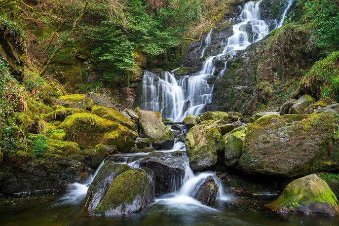 Ring of Kerry Day Tour from Killarney: Including Killarney National Park - An in-depth look at what the tour offers