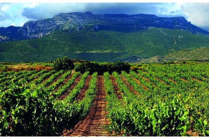 Rioja Alavesa Wineries and Medieval Villages Day Trip - An In-Depth Look at the Rioja Alavesa Wineries and Medieval Villages Day Trip