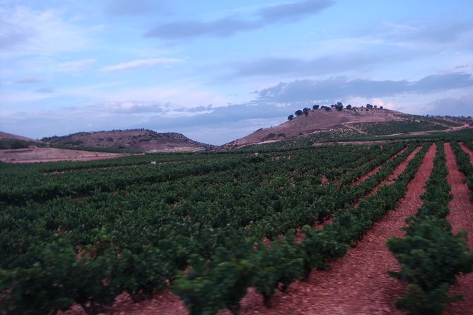 Rioja Wine Country Day Trip - A Day in Rioja: What to Expect from This Private Tour