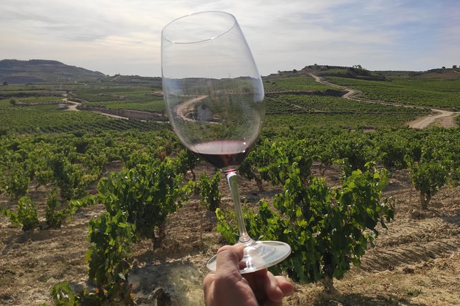 Rioja Wine Tour: 2 Wineries From Pamplona - What You Can Expect from the Rioja Wine Tour