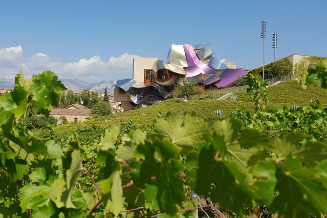 Rioja Wine Tour: Winery & Traditional Lunch From Bilbao - What Makes This Tour Stand Out