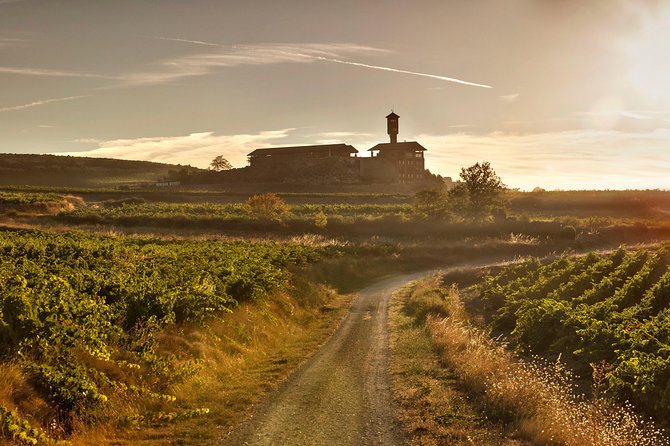 Rioja Wine Tour: Winery & Traditional Lunch From Vitoria - An In-Depth Look at the Rioja Wine Tour Experience
