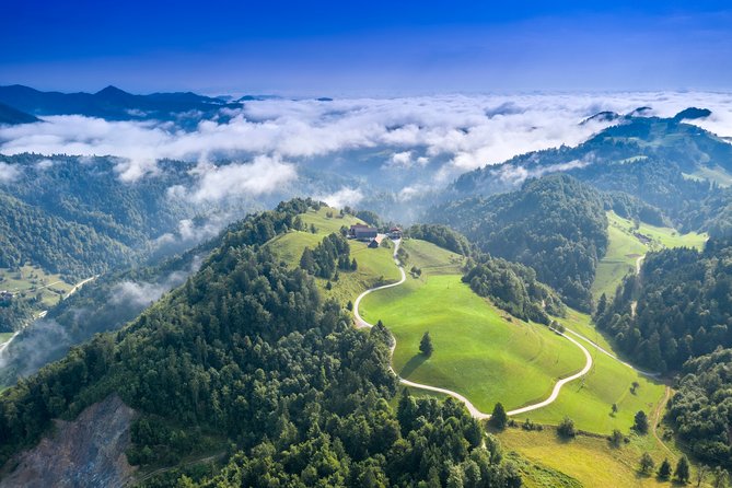 Road Cycling Tour Slovenia - What Travelers Say