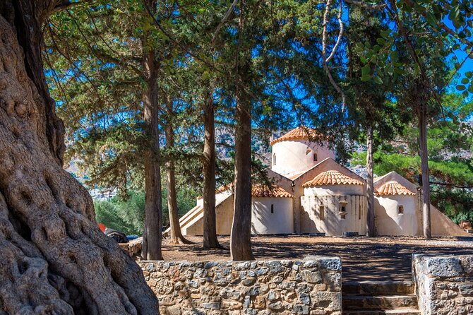 Road-trip to Lasithi: Vidiani, Krasi, Olive Mill Farm, Lasinthos - Practical Tips for Travelers