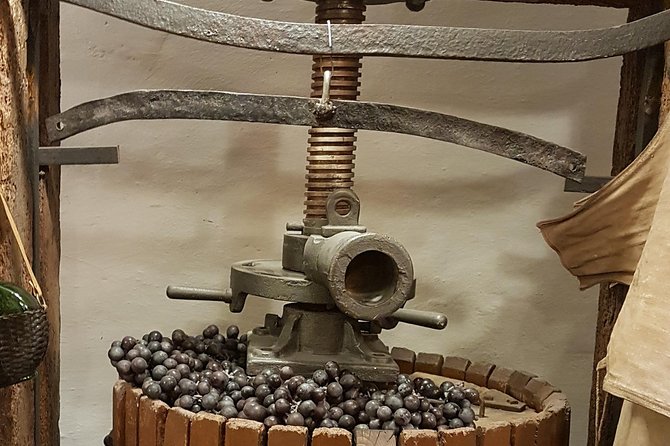 Roman Countryside: Wine and Food Tasting, Private Day Tour - Key Points