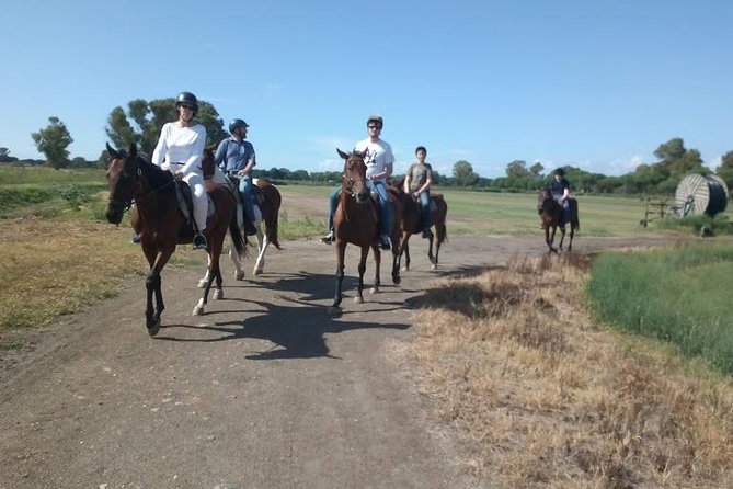 Rome : Horseback Riding with meals and wine included - The Itinerary: What Does the Day Look Like?