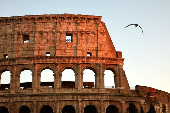ROME: No queue - Colosseum and Romes ancient Forum - What You’ll Experience and Why It Matters
