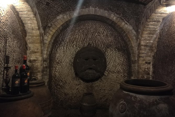 Rome Private Day Trip to Siena & San Gimignano - Who Is This Tour Best For?
