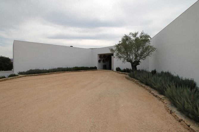 Ronda Private Full Day Wine Tour - Starting Point: Comfort and Convenience from Malaga or Marbella