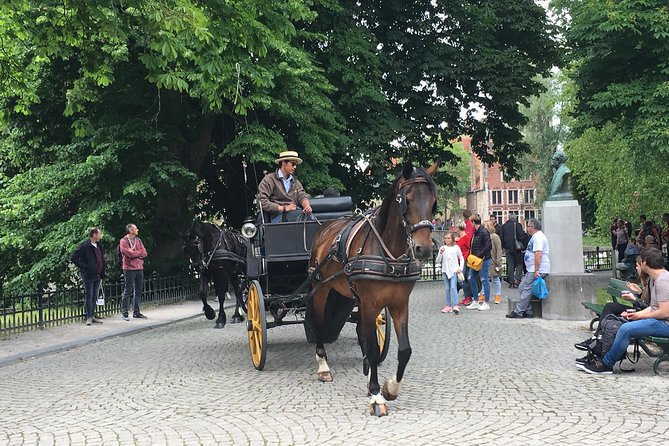 Round-Trip Shuttle Service from Zeebrugge to Bruges - How the Schedule Works and What to Expect