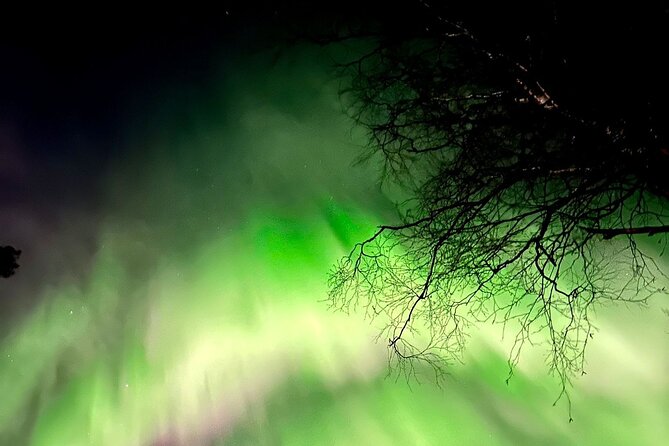 Rovaniemi: Aurora Hunting & Photography Tour - What to Expect on the Tour