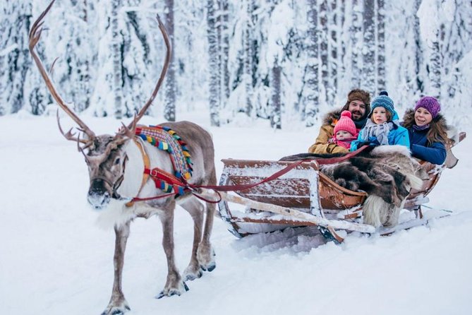Rovaniemi Private Transfer from Rovaniemi city centre to Rovaniemi airport - Ease and Convenience in the Final Stretch
