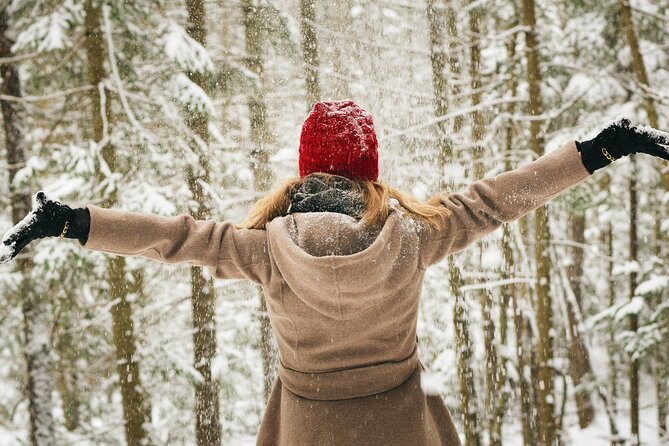 Rovaniemi: Private Winter Wonderland Photoshoot Tour - An In-Depth Look at the Rovaniemi Winter Photoshoot Experience