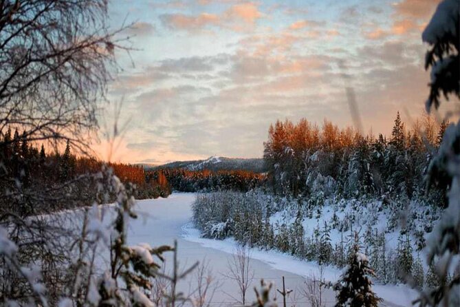 Rovaniemi: Winter Wonderland Vikaköngäs Hiking Tour & BBQ - Introduction: A Winter Adventure Worth Considering