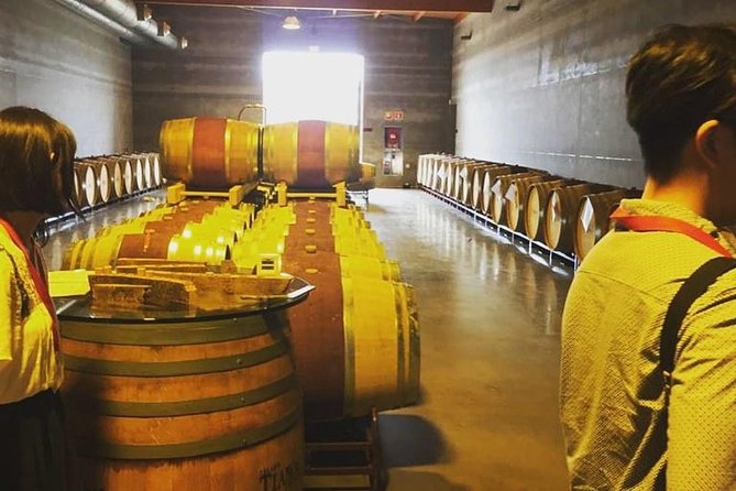 Sa Clasta Mallorca Wine Tours - The Itinerary: What to Expect