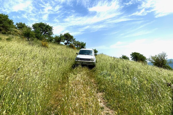 Safari Jeep Wild Adventure - What’s Included and Practical Details
