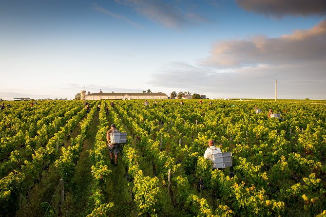 Saint-Emilion Private Full Day Wine Tour from Bordeaux - The Experience: A Deep Dive into the Tour Itself