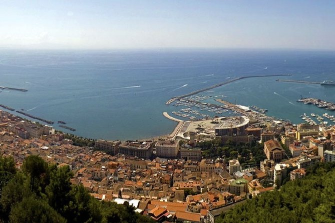 Salerno Shore Excursion: Private Pompeii Tour - The Itinerary in Detail