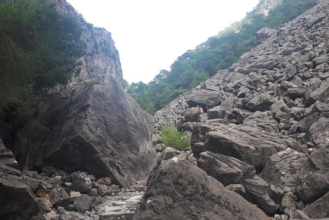 SAMARIA GORGE adventure by local guide. - Key Points