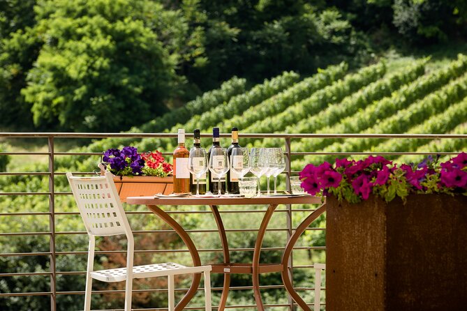 San Gimignano: Chianti wine tasting and lunch - The Experience: A Step-by-Step Breakdown