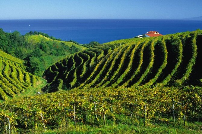San Juan de Gaztelugatxe with Winery Visit and Lunch (From Bilbao) - What We Loved About This Tour