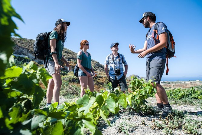 Santorini : Cooking Class & Easy Hike - Exploring Santorini’s South Coast: Scenic Hiking with Authentic Flair