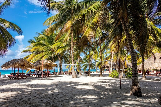 Saona Island Cruise & Private Beach - What You Can Expect from the Tour