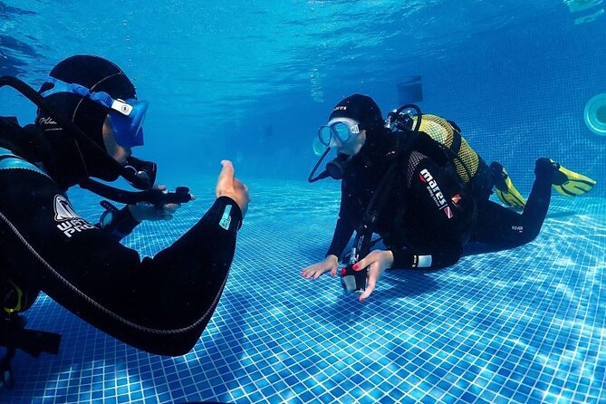 Scuba Diving Experience for Beginners in Ponta de São Lourenço - A Closer Look at the Experience