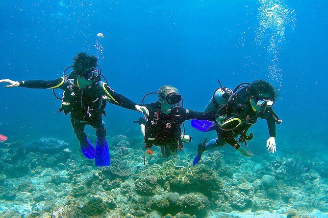 Scuba Diving for Beginners in Pula - Authentic Reviews from Participants