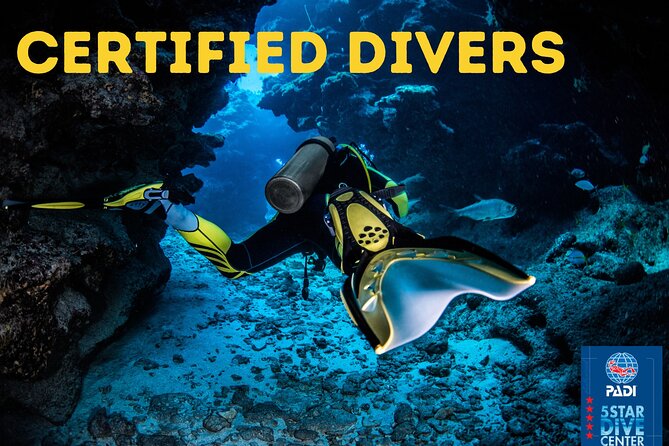 Scuba Diving for Certified Divers in Costa Adeje - Exploring the Dive Experience in Detail