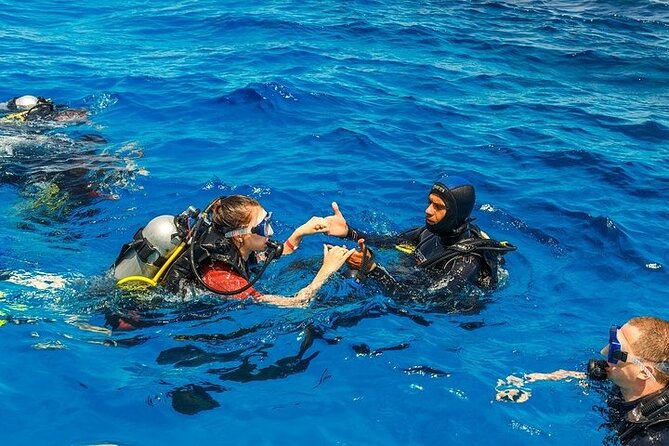 Scuba Diving in Alanya - What to Expect from the Day