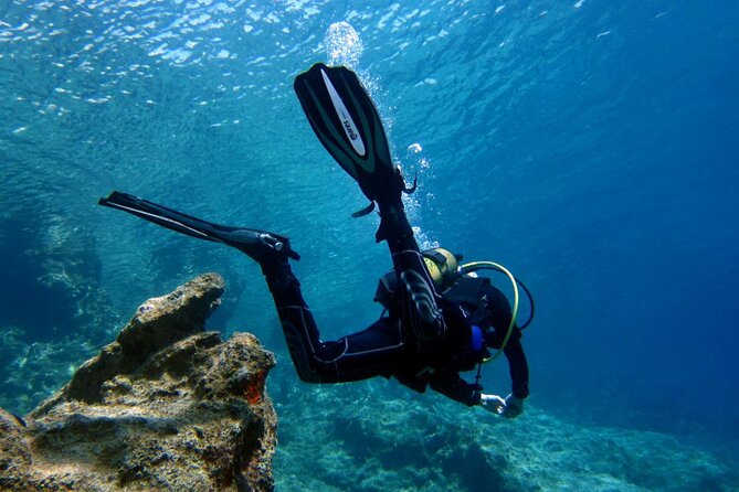 Scuba Diving in Antalya from Antalya & Kemer - The Marine Environment at Kirish Bay