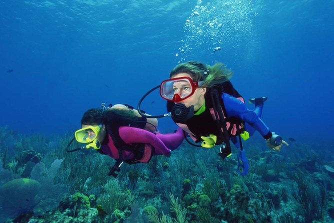 Scuba Diving Tour From Alanya - Side - Antalya - Why Choose This Tour?