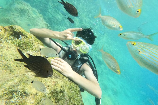Scuba Diving Tour With Lunch in Alanya - Key Points