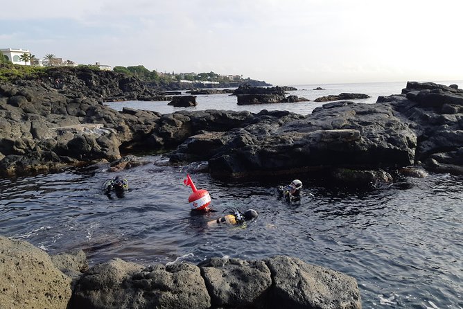 Scuba Experience - An Honest Look at the Catania Scuba Experience